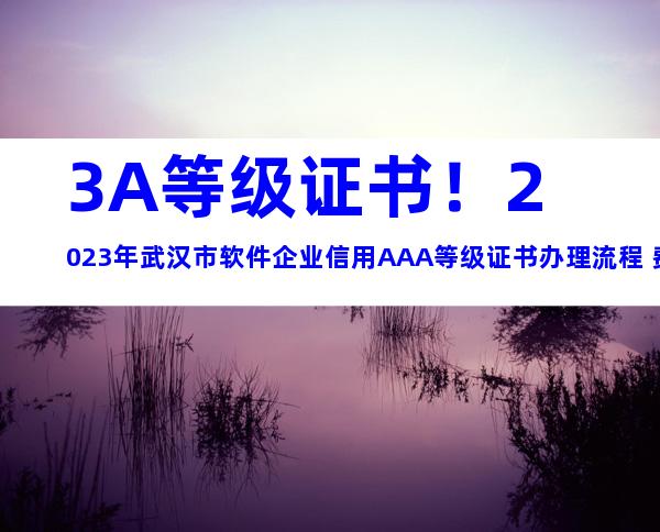 3A等级证书！2023年武汉市软件企业信用AAA等级证书办理流程+费用 - 武汉飞鲸信息科技有限公司